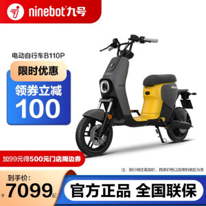 Ninebot 九号 B110P 新国标可上牌 智能电动车_没得比