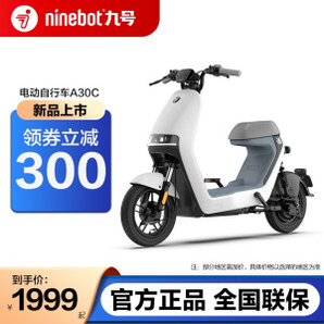 Ninebot 九号 A30C 新国标智能电动车_没得比